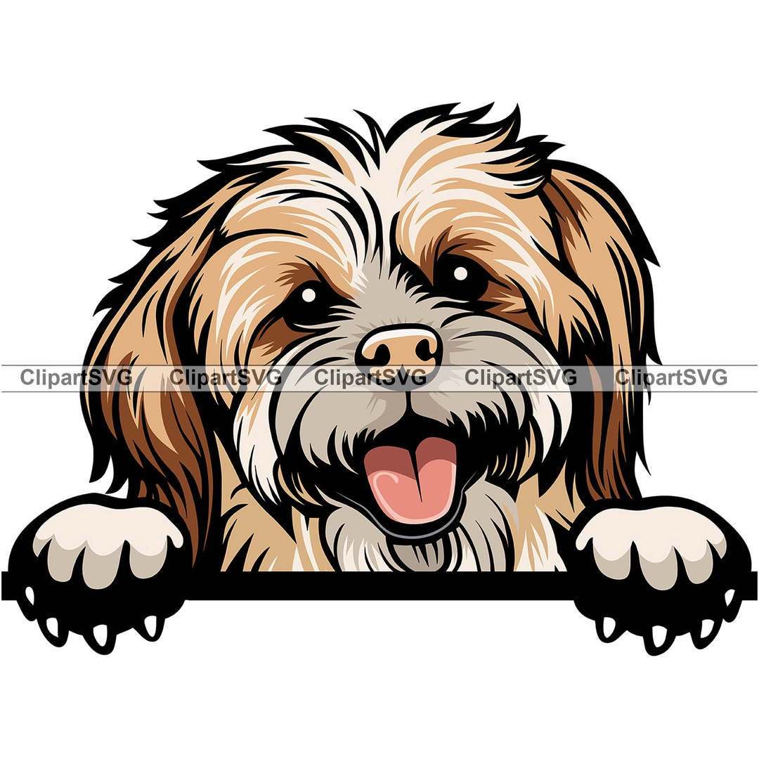Lhasa Apso Smiling Dog Happy Cute Head Canine Pet Havanese Shih Tzu Paw ...