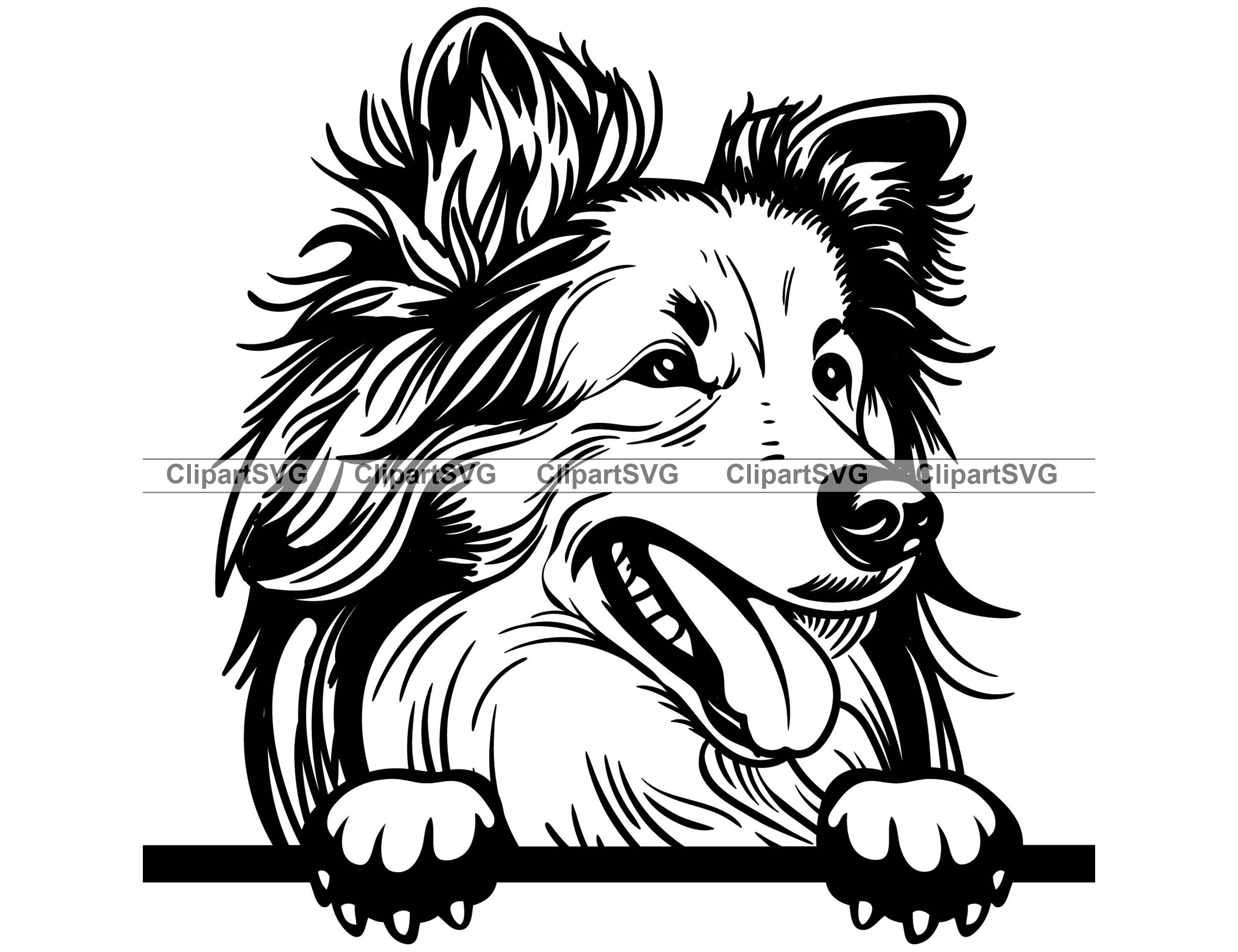 Bi Black Sheltie Clipart