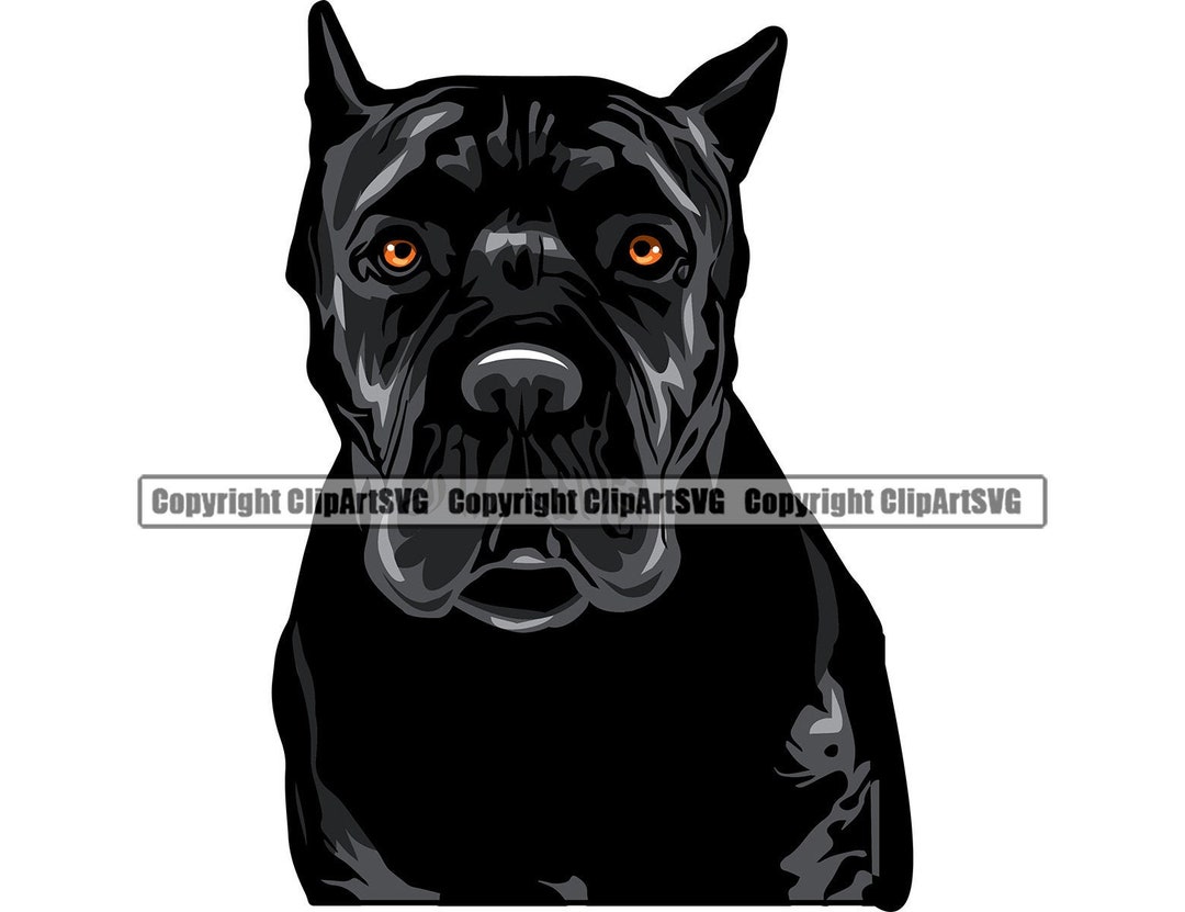 Cane Corso Dog Breed Head Face Paw Puppy Pup Pet Art K9 Great Dane ...