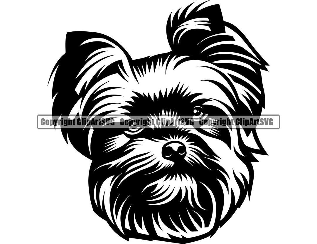 Yorkshire Terrier Dog Head Face Breed Puppy Pup Pet Purebred Pedigree ...