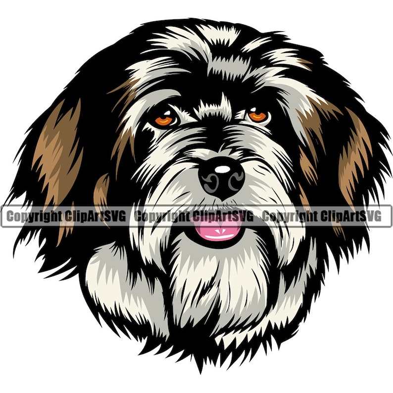 Havanese Dog Breed Head Happy Face Smile Paw Puppy Pup Pet K-9 Maltese ...