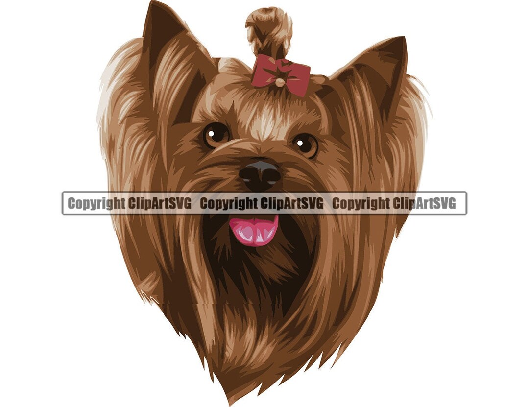 Yorkshire Terrier Yorkie Dog Breed Head Face Puppy Animal Pet Hound ...