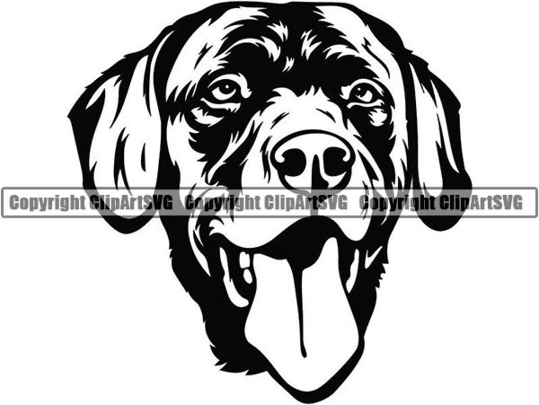 Labrador Retriever #50 Smiling Dog Breed K-9 Animal Pet Puppy Paws ...