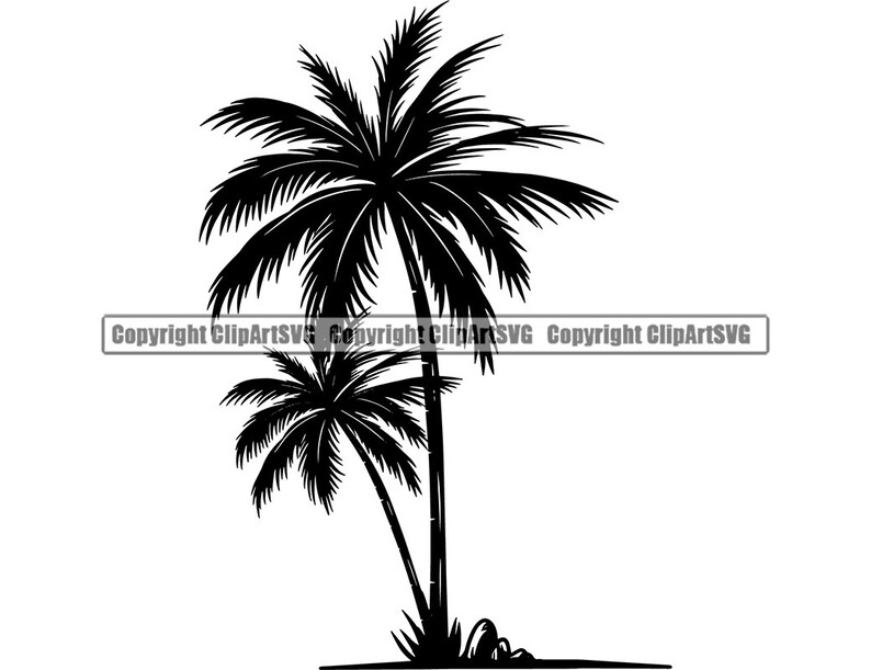 Palm Tree Summer Vacation Beach Nature Umbrella Relax Relaxing | Etsy