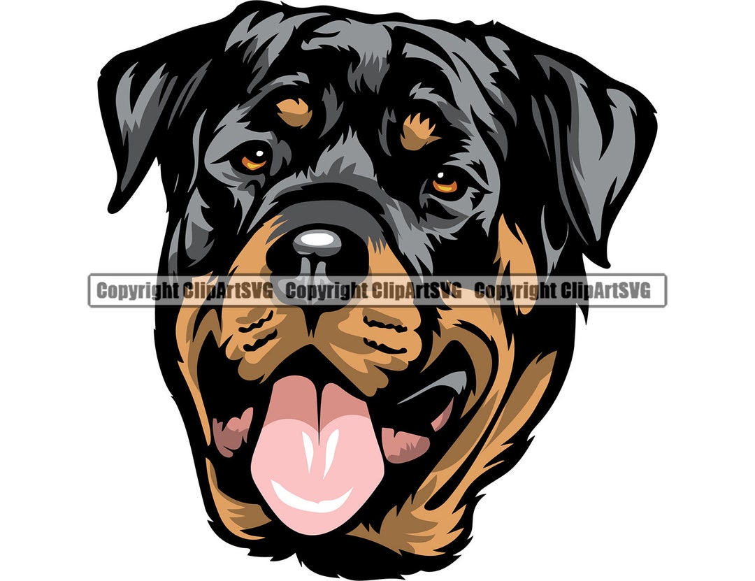 Rottweiler Dog Breed Head Face Puppy Animal Pet Happy Hound Pedigree ...