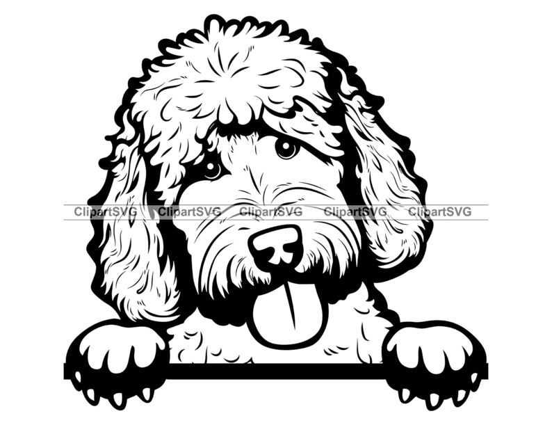 Sheepadoodle Smiling Peeking Dog Cute Puppy Face Canine Pet Old English ...