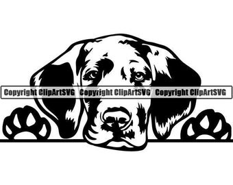 Great Dane Svg | Etsy