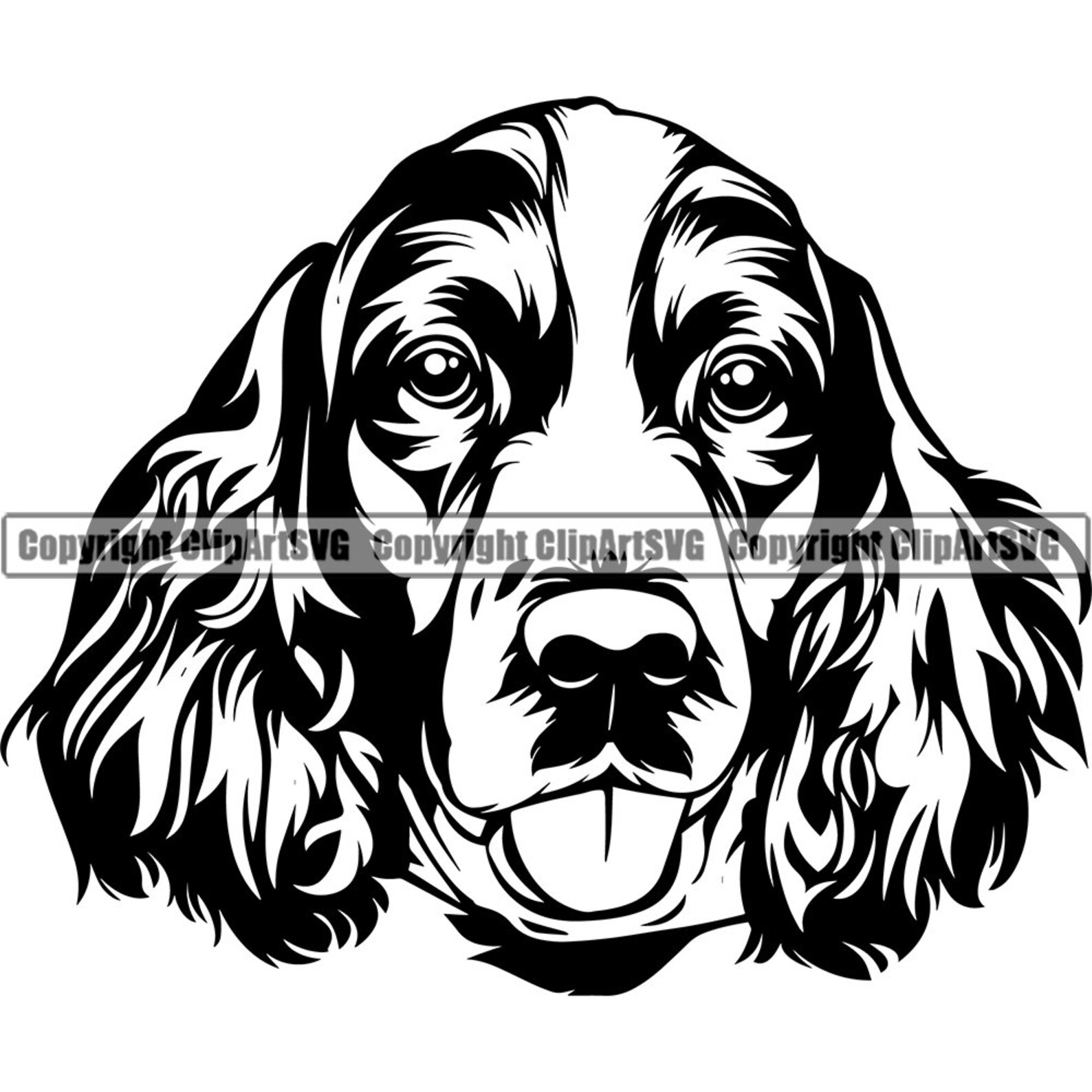 English Springer Spaniel Dog Breed Head Happy Face Paw Puppy Pup Pet ...