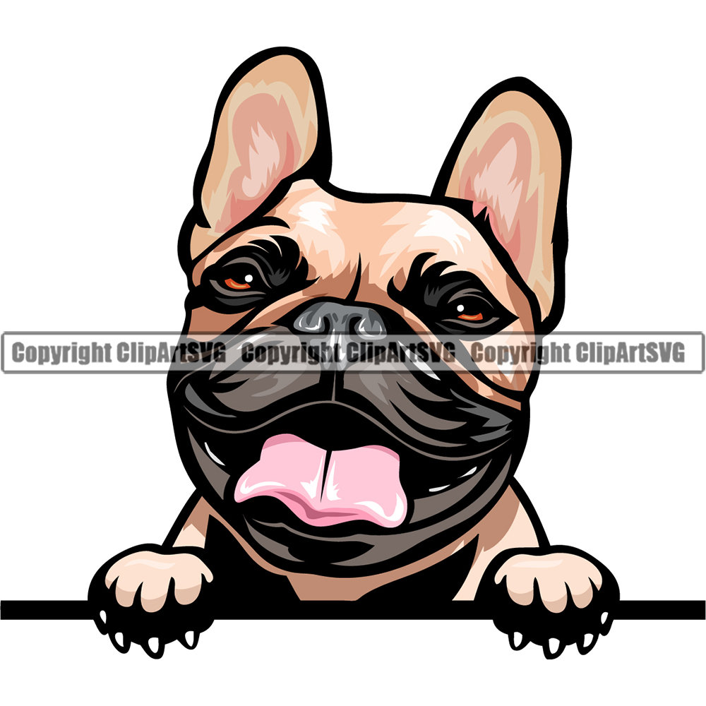 French Bulldog Dog Peeking Peek-a-boo Happy Breed Puppy Animal Pet ...