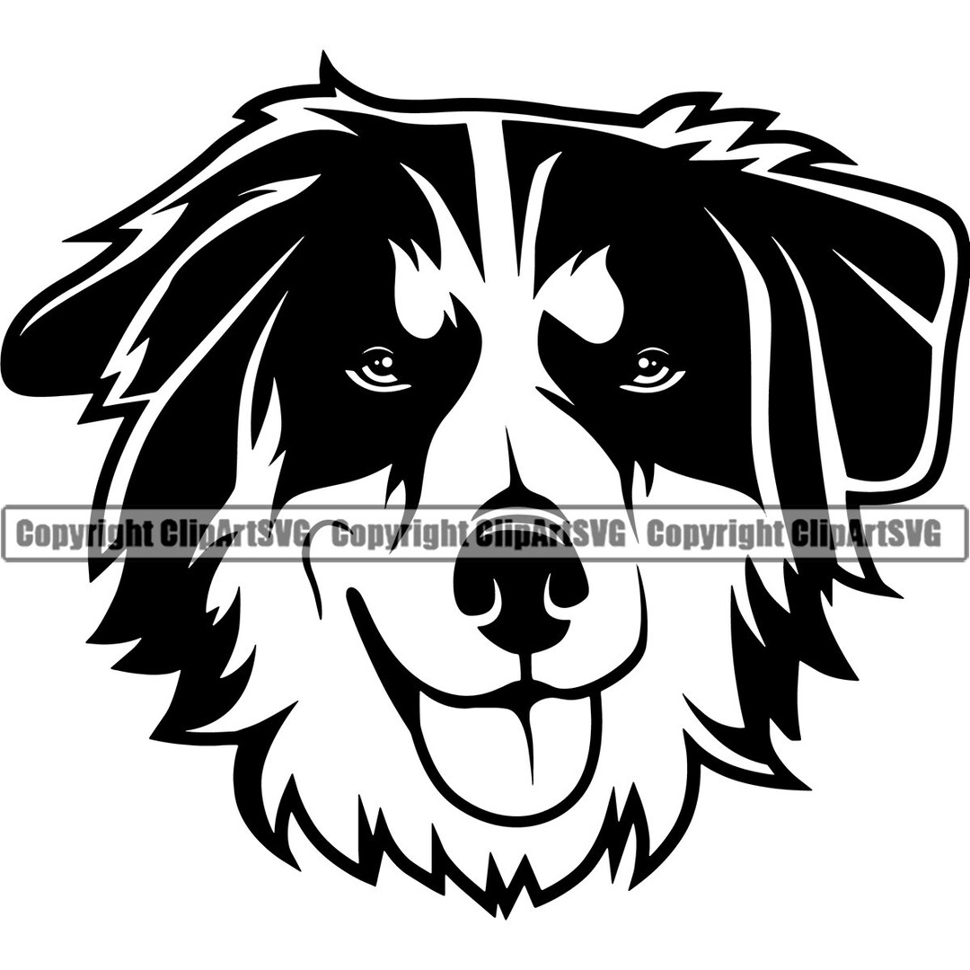 Australian Shepherd Aussie Dog Head Face Smiling Breed Happy Puppy ...