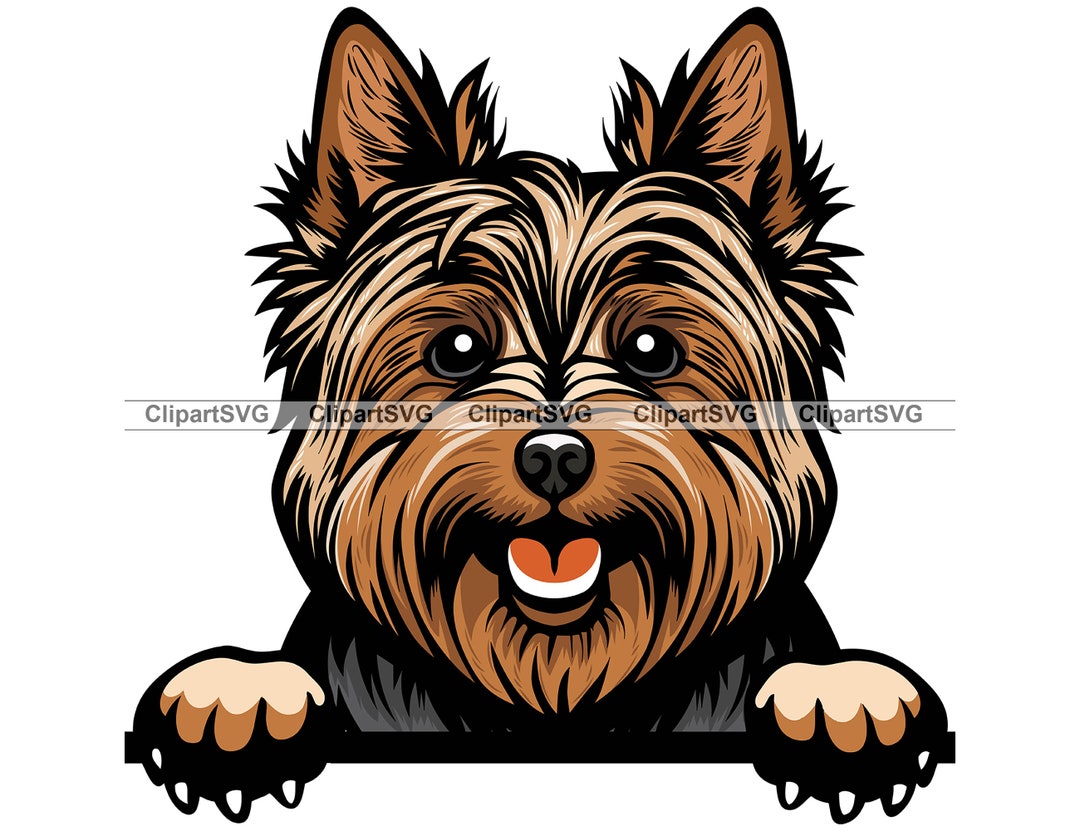 Silky Terrier Smiling Peeking Dog Cute Puppy Head Canine Pet Yorkshire ...