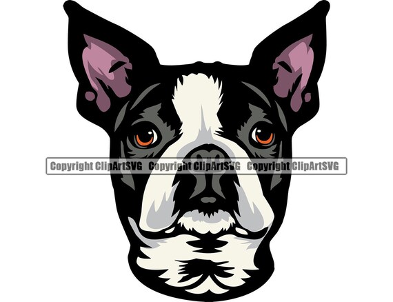 Boston Terrier Dog Breed Face Head Adorable Puppy Pup Pet Art | Etsy