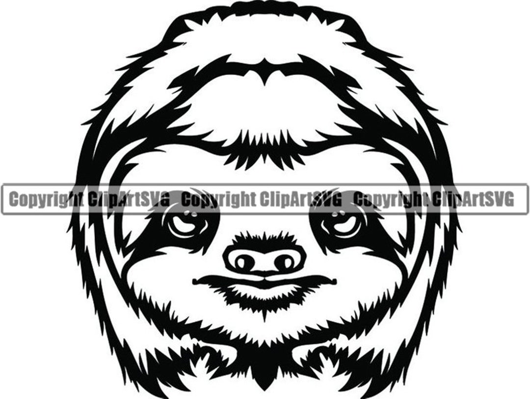 Sloth #1 Head Face Two Three Toe Slow Moving Wild Animal Nature ...