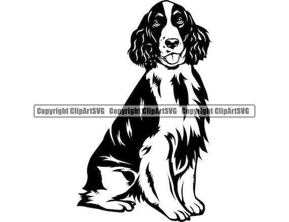 English Springer Spaniel Dog Breed Sit Sitting Puppy Pup Pet - Etsy