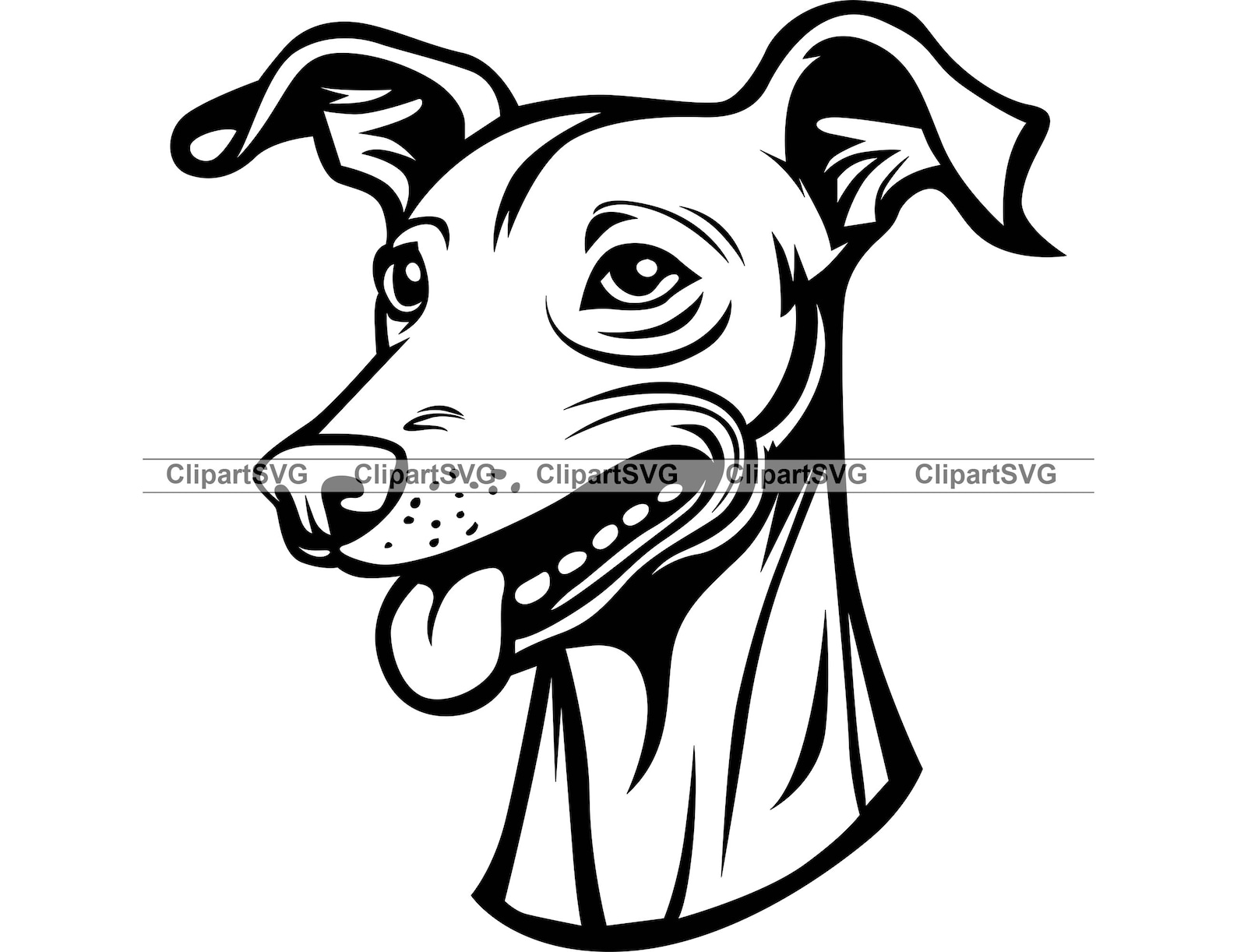 Italian Greyhound Smiling Cute Dog Puppy Face Canine Pet Breed Portrait ...