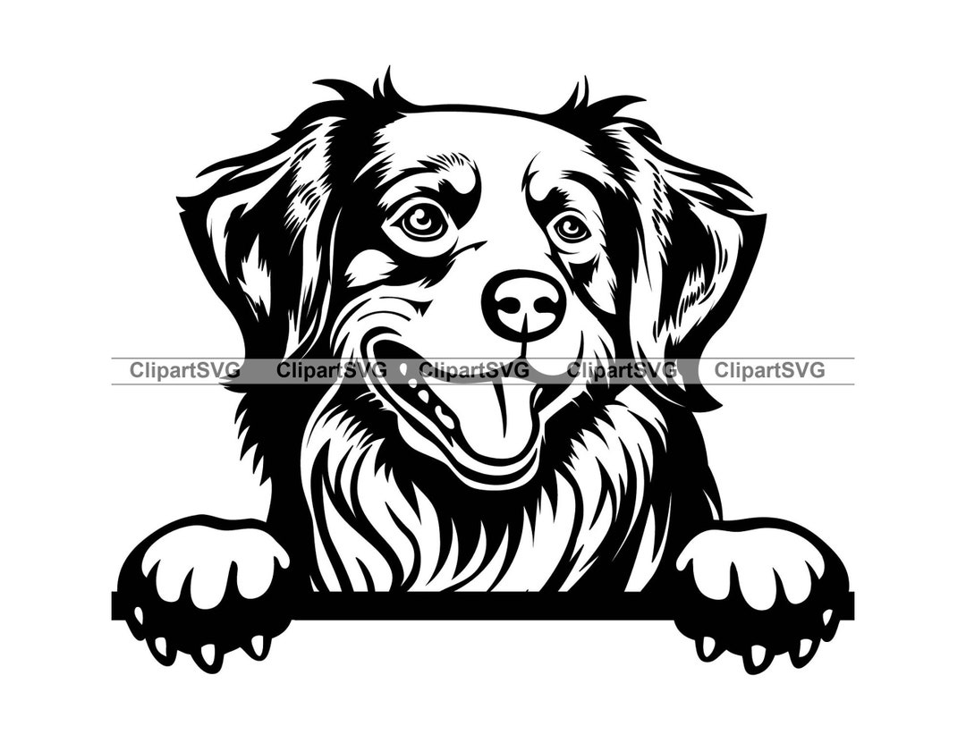 Nova Scotia Duck Tolling Retriever Smiling Peeking Dog Puppy Face Pet ...