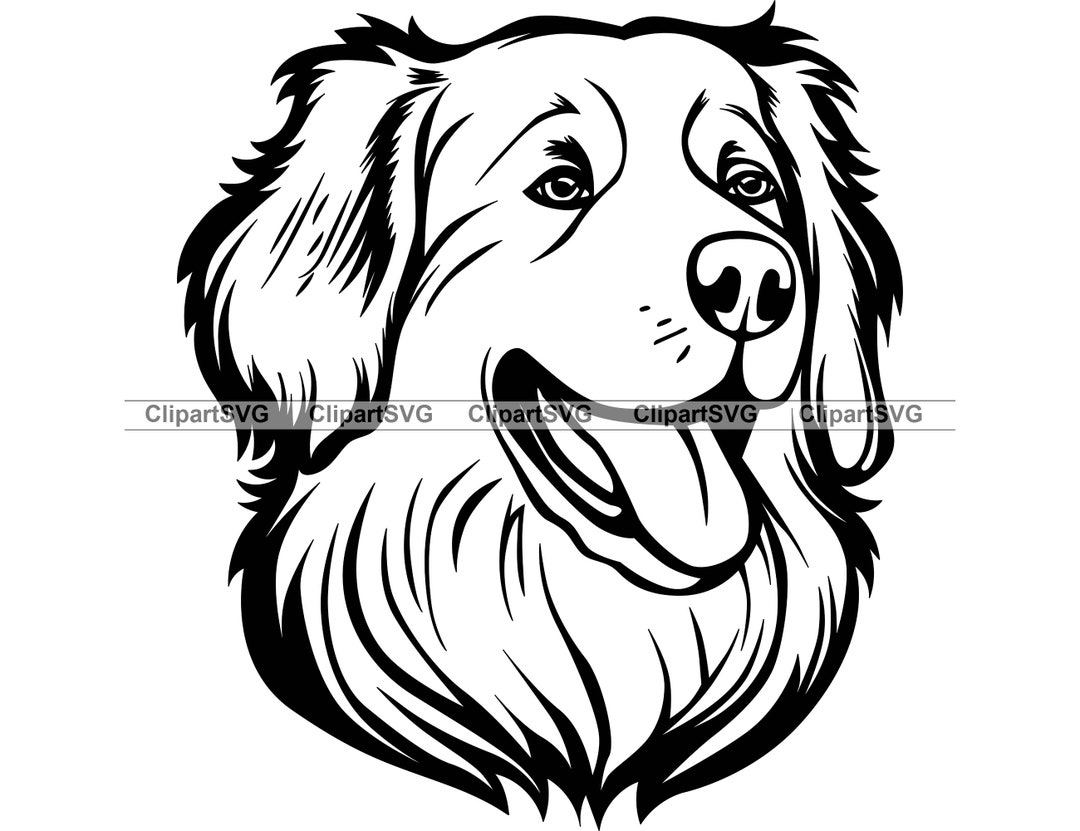 Great Pyrenees Smiling Dog Puppy Face Canine Pet Animal Portrait Breed ...