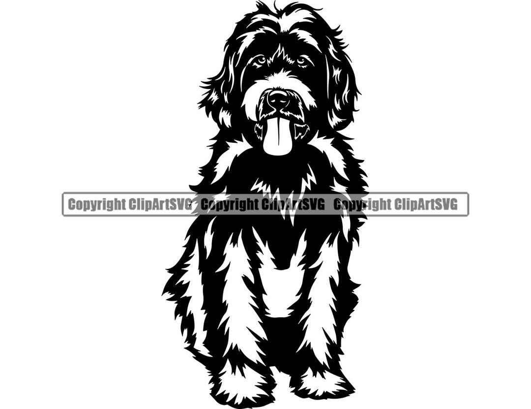 Labradoodle Dog Sit Sitting Breed Happy Puppy Pup Pet Purebred Pedigree ...