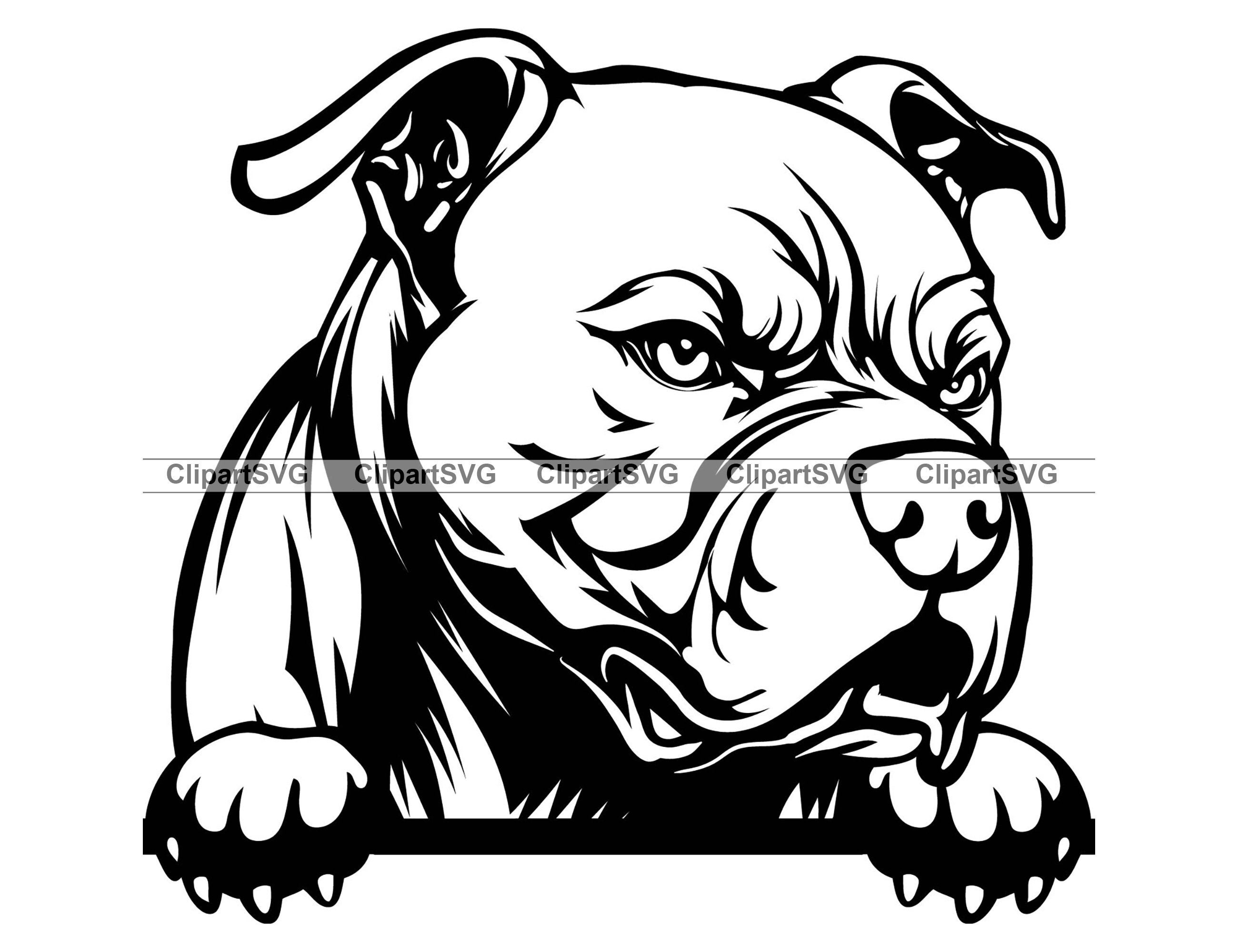 Evil Pitbull Drawing