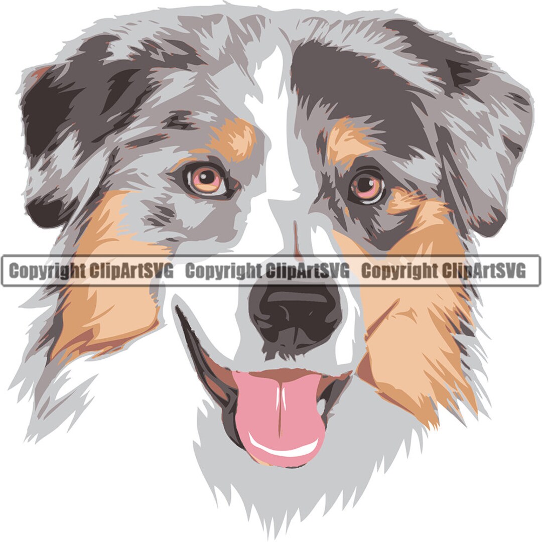 Australian Shepherd Aussie Dog Head Face Smiling Breed Happy Puppy ...