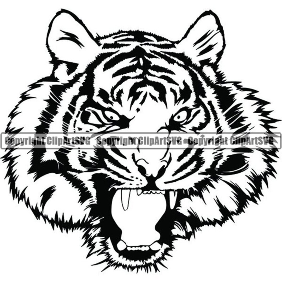Tiger 7 Angry Bengal Cat Growl Growling Wild Animal School Mascot ...