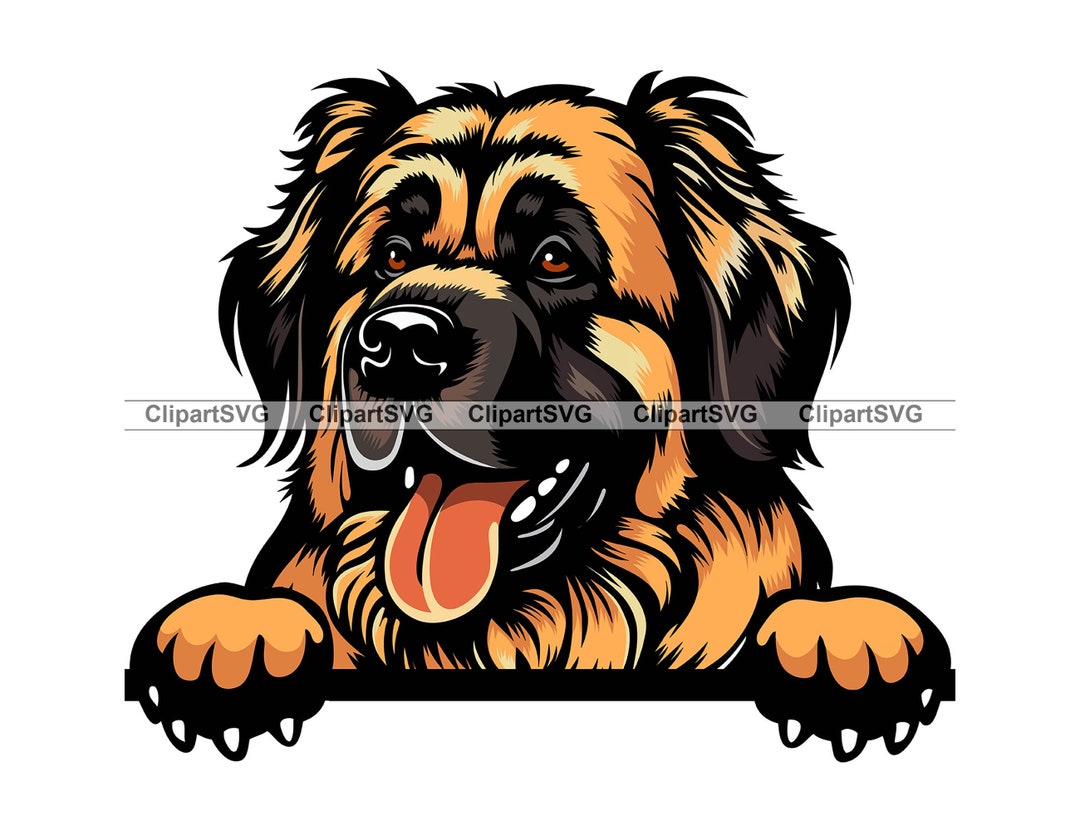 Leonberger Smiling Peeking Dog Puppy Head Canine Pet Breed Portrait Paw ...