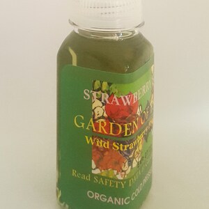 ORGANIC Strawberry Seed Oil UNREFINED Cold Pressed for | Etsy