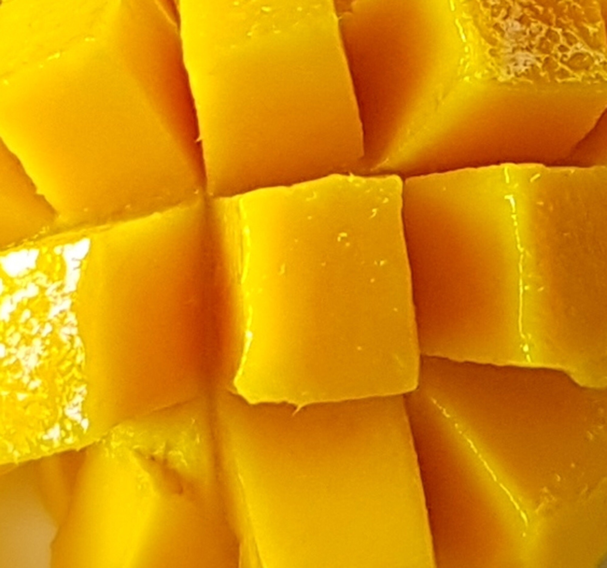 Mango Butter Organic Cold Pressed Soft Mango Butter Refined - Etsy