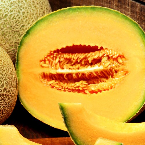 Organic Ojon Oil Unrefined Cold Pressed for Damaged Hair - Etsy