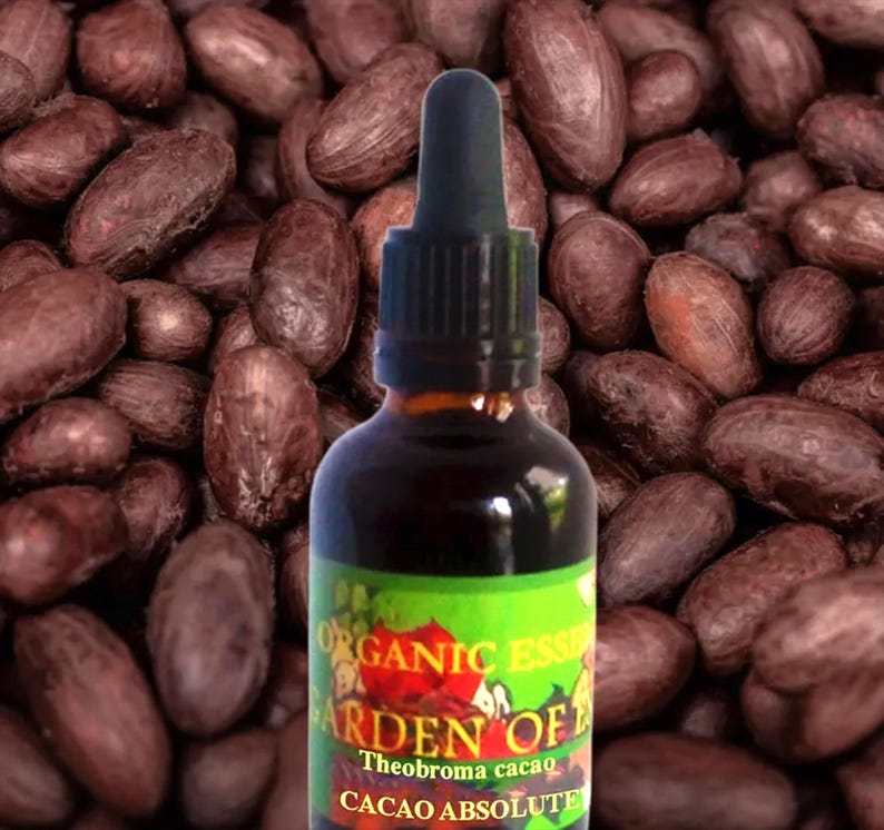 Cacao Essential Oil Cocoa Absolute ORGANIC No Hexane, French Chocolate ...