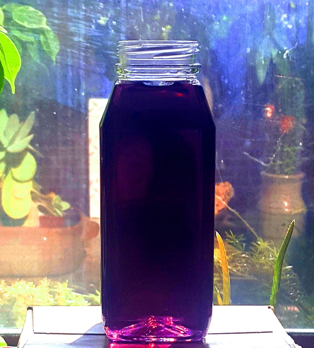 Organic Acai Berry Oil COLD PRESSED Unrefined Anti-aging Super-fruit ...