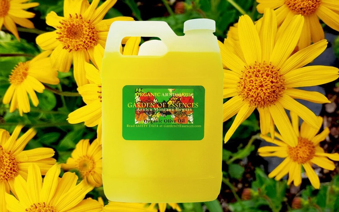 SALE ORGANIC Arnica OIL Herbal Infusion for Muscle Stiffness, Shoulder ...