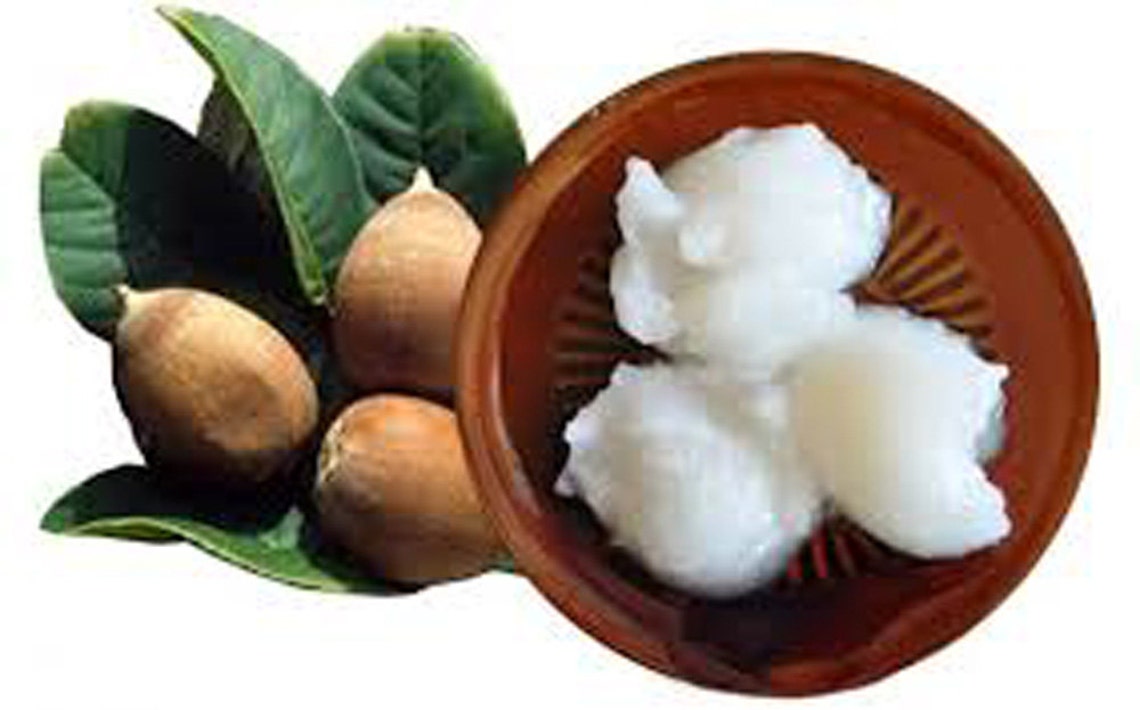 ORGANIC Babassu Oil Cold Pressed Unrefined Babassu Butter for - Etsy