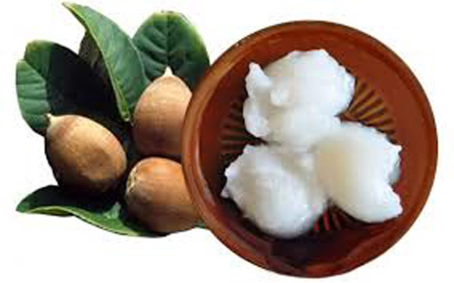 ORGANIC Babassu Oil Cold Pressed Unrefined Body Butter, Better Than ...