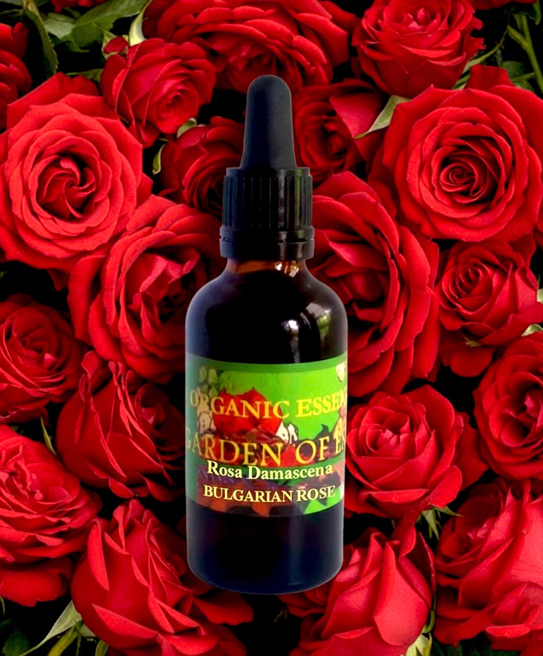 SALE Organic Rose Essential Oil Absolute Bulgarian, and Rose Essential ...