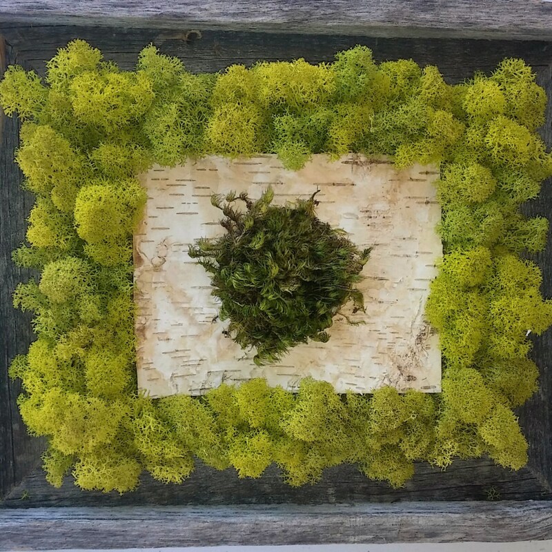 Biophilic Art - Etsy