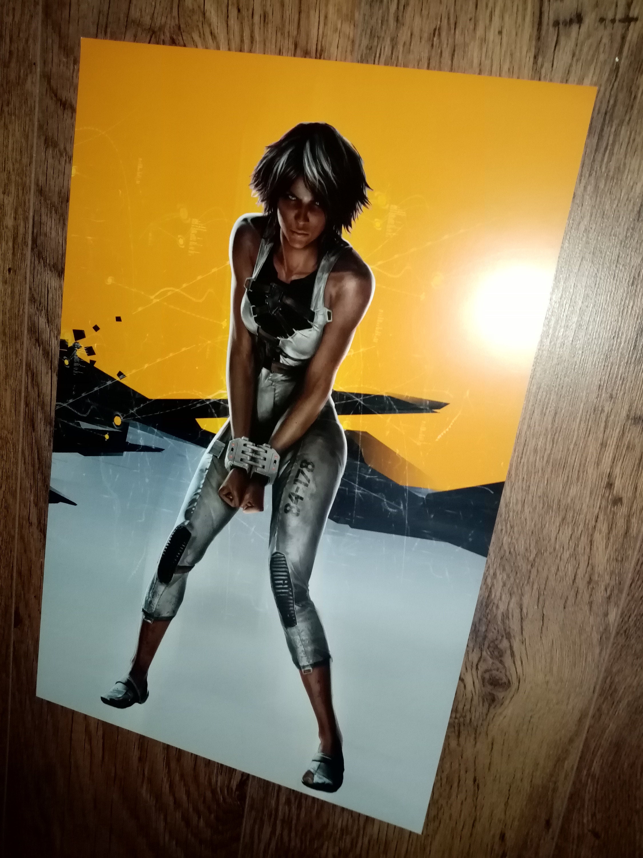 Remember Me / Nilin / Caught / Video Game Display Poster | Etsy