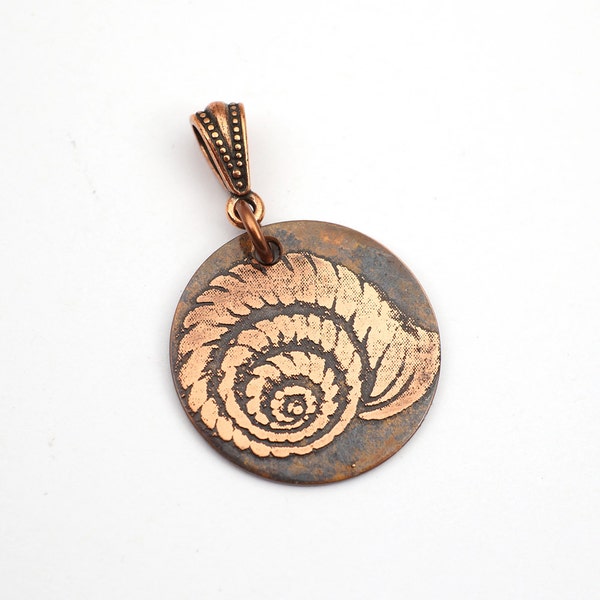 Flat Spiral Shells - Etsy