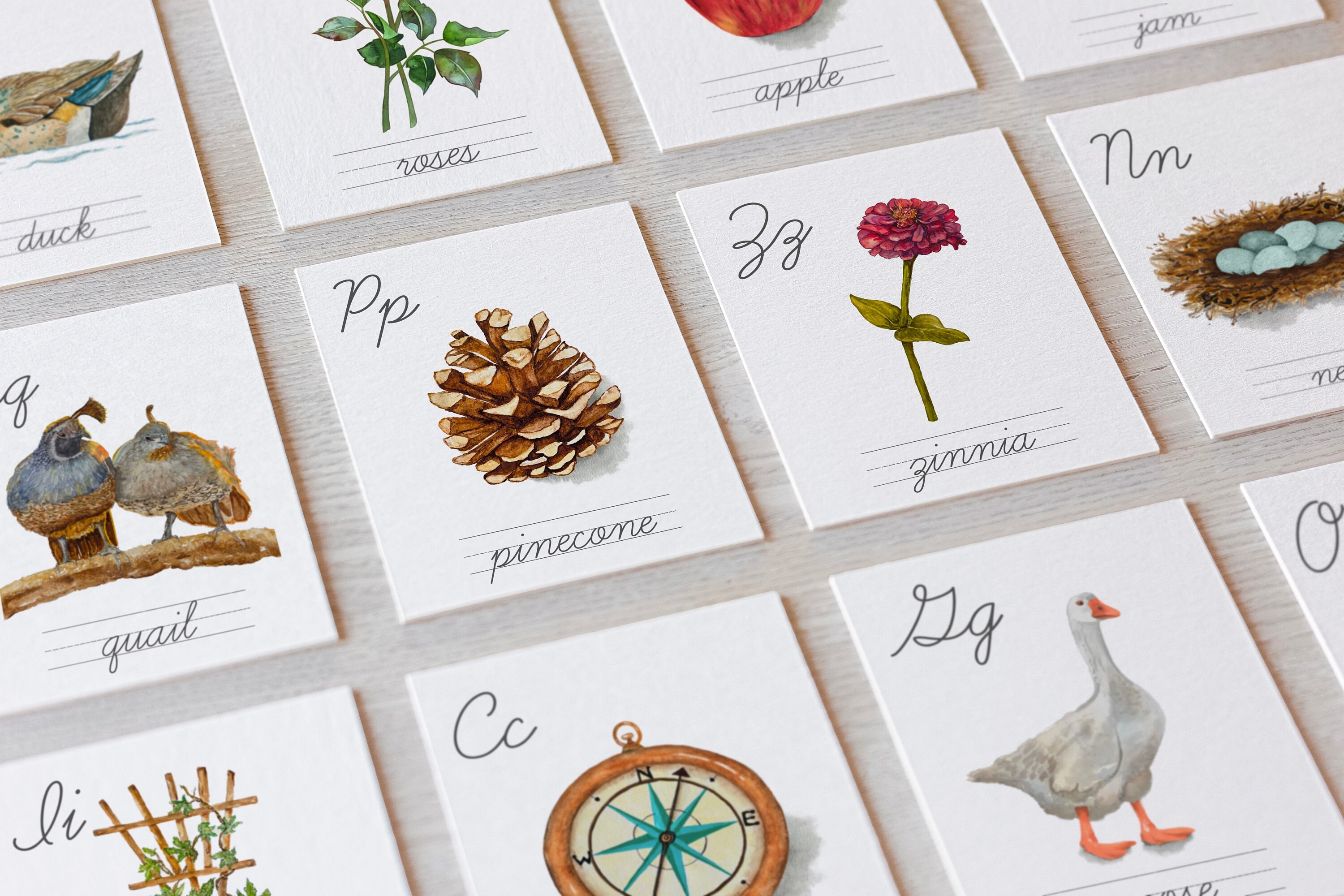 ABC Alphabet Cards Printable, Watercolor Nature Homestead Homeschool ...