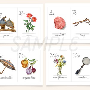 ABC Alphabet Cards Printable, Watercolor Nature Homestead Homeschool ...