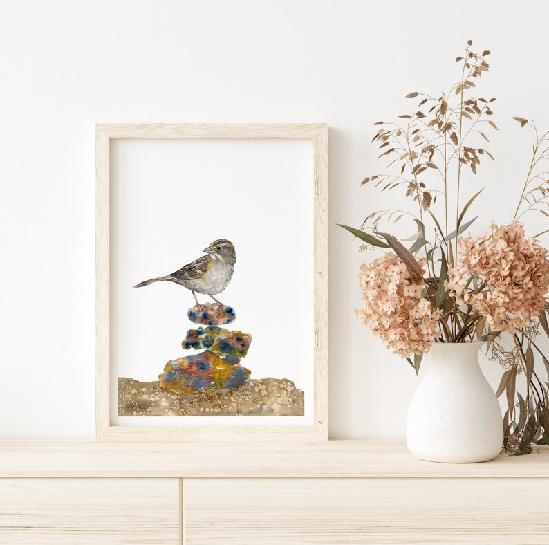 Bird, Sparrow, Stacked Rocks, Watercolor Wall Art Print, Bird Painting ...
