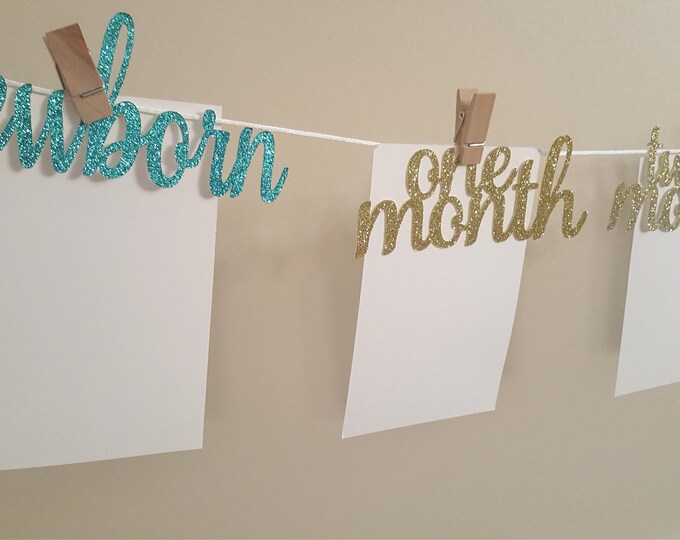 12 Month Banner Photo Banner Birthday Banner First Birthday First Year ...