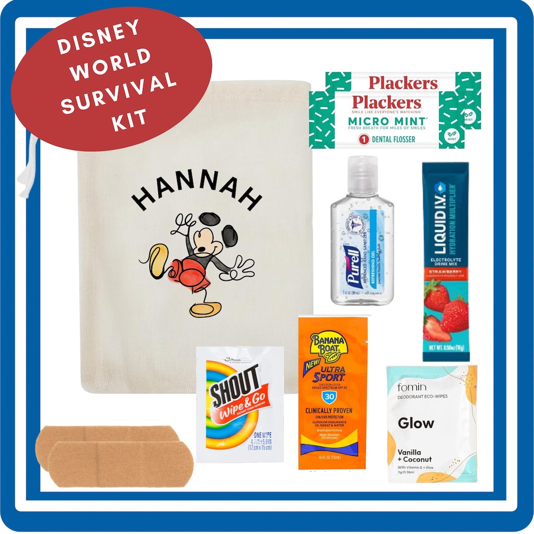 Disney Essentials Kit: Disney World Care Package, Disney Recovery Kit ...