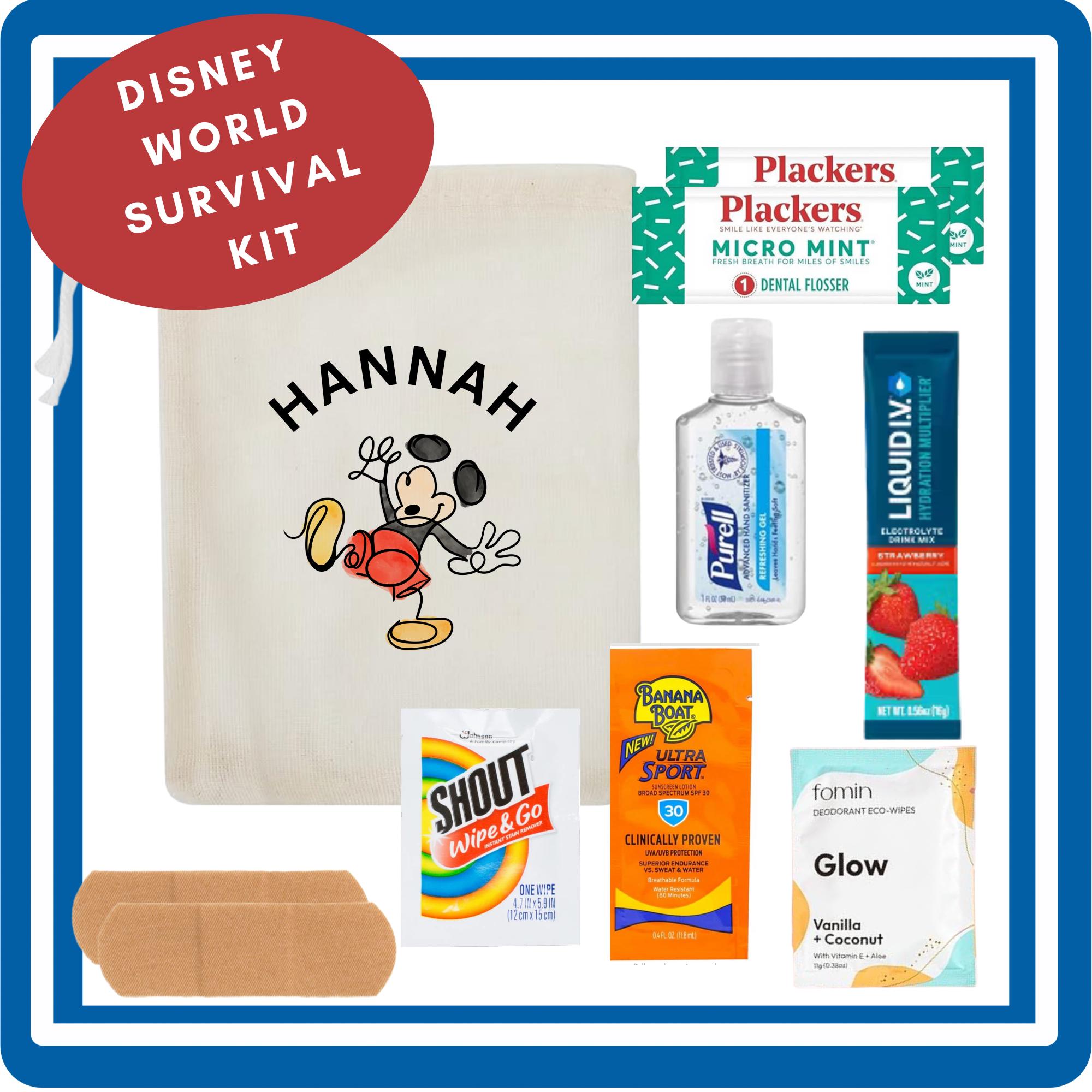Disney Essentials Kit: Disney World Care Package, Disney Recovery Kit ...