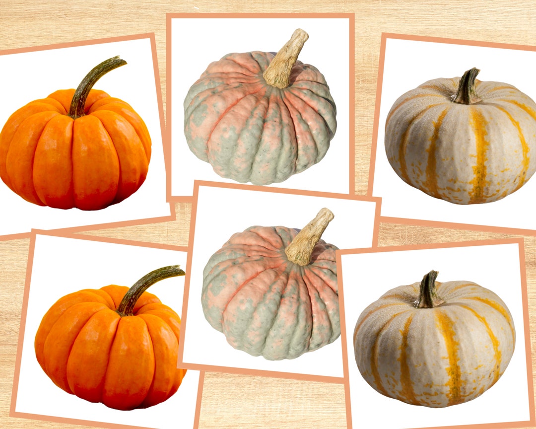 Pumpkin Matching Cards - Preschool Montessori Activity - Kindergarten ...