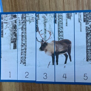 Arctic Animal Counting Puzzles - 1-10 Number Order Printable - Cold ...