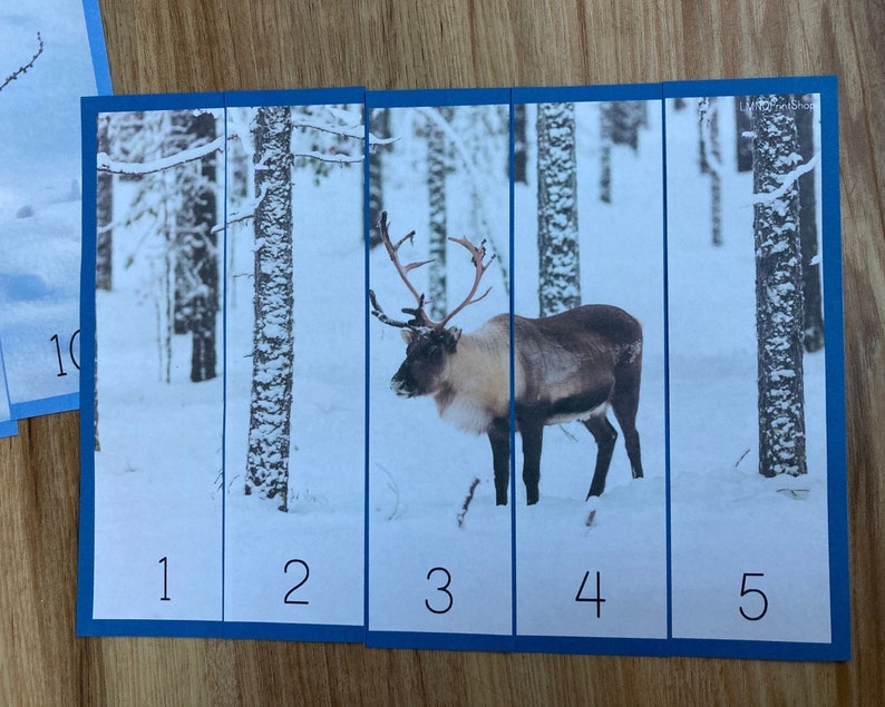 Arctic Animal Counting Puzzles - 1-10 Number Order Printable - Cold ...