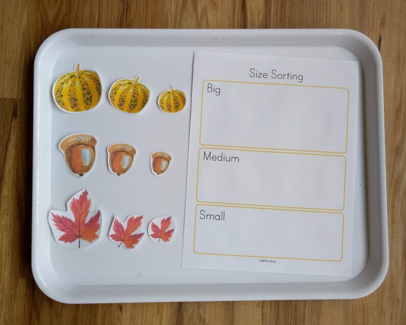 Fall Learning Binder - Preschool Printable Busy Book - Autumn ...