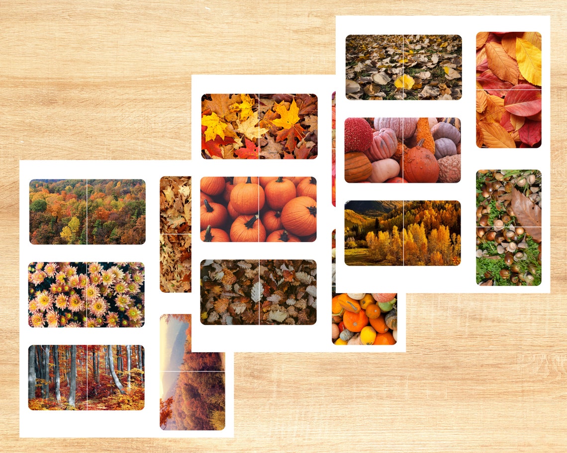 Fall Matching Puzzles - Preschool Autumn Game - Pumpkin, Leaves ...