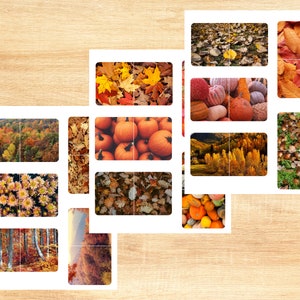 Fall Matching Puzzles - Preschool Autumn Game - Pumpkin, Leaves ...